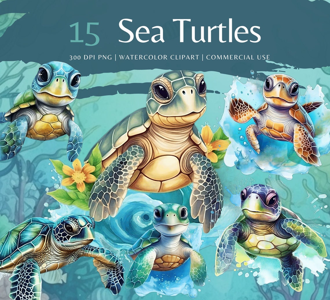 Sea Turtles Watercolor Clip Art Bundle Sea Animals Clipart - Etsy