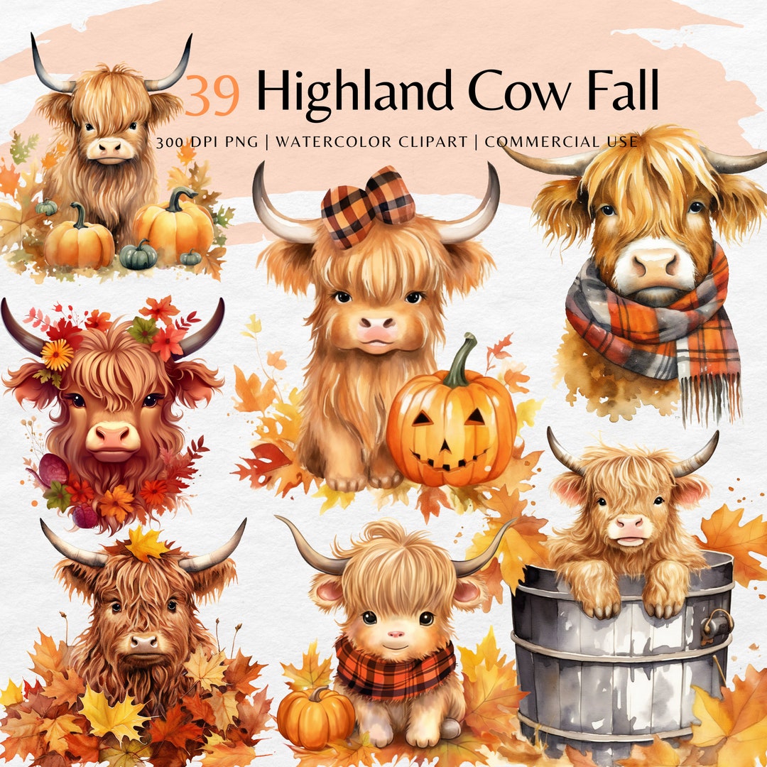 Fall Highland Cow Png Clipart Bundle, Cute Baby Highland Cow, Digital ...