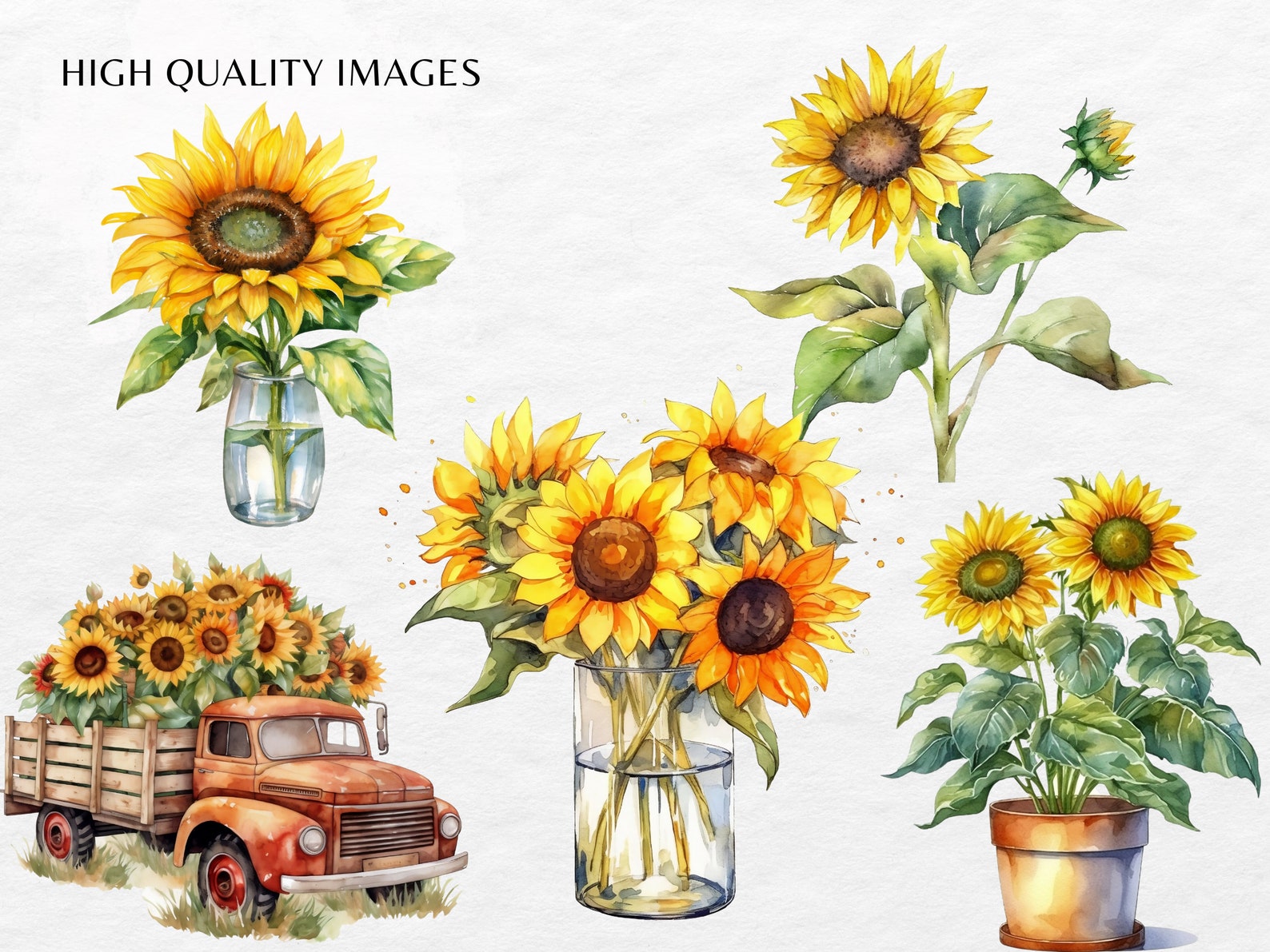 Sunflower Watercolor Clip Art Bundle PNG Floral Bouquets - Etsy