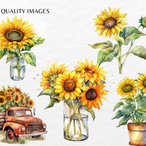 Sunflower Watercolor Clip Art Bundle | PNG Floral Bouquets | Bee ...