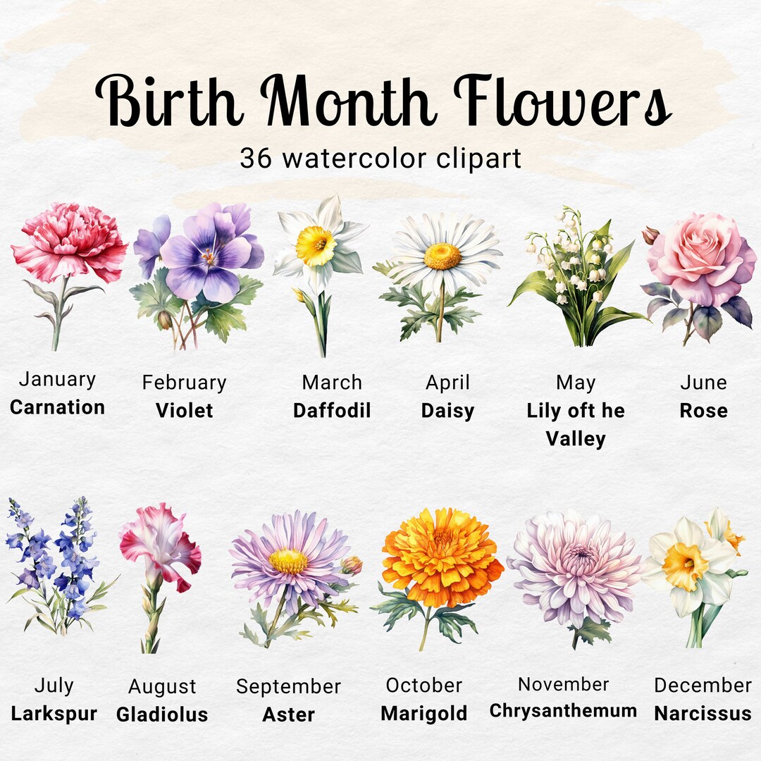 Watercolor Birth Flower Clipart: Floral PNG Bundle (commercial Use) - Etsy
