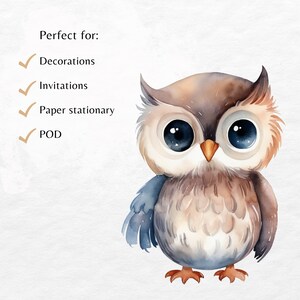 Owl Png Clipart Watercolor Bundle | Digital Download | Commercial Use ...