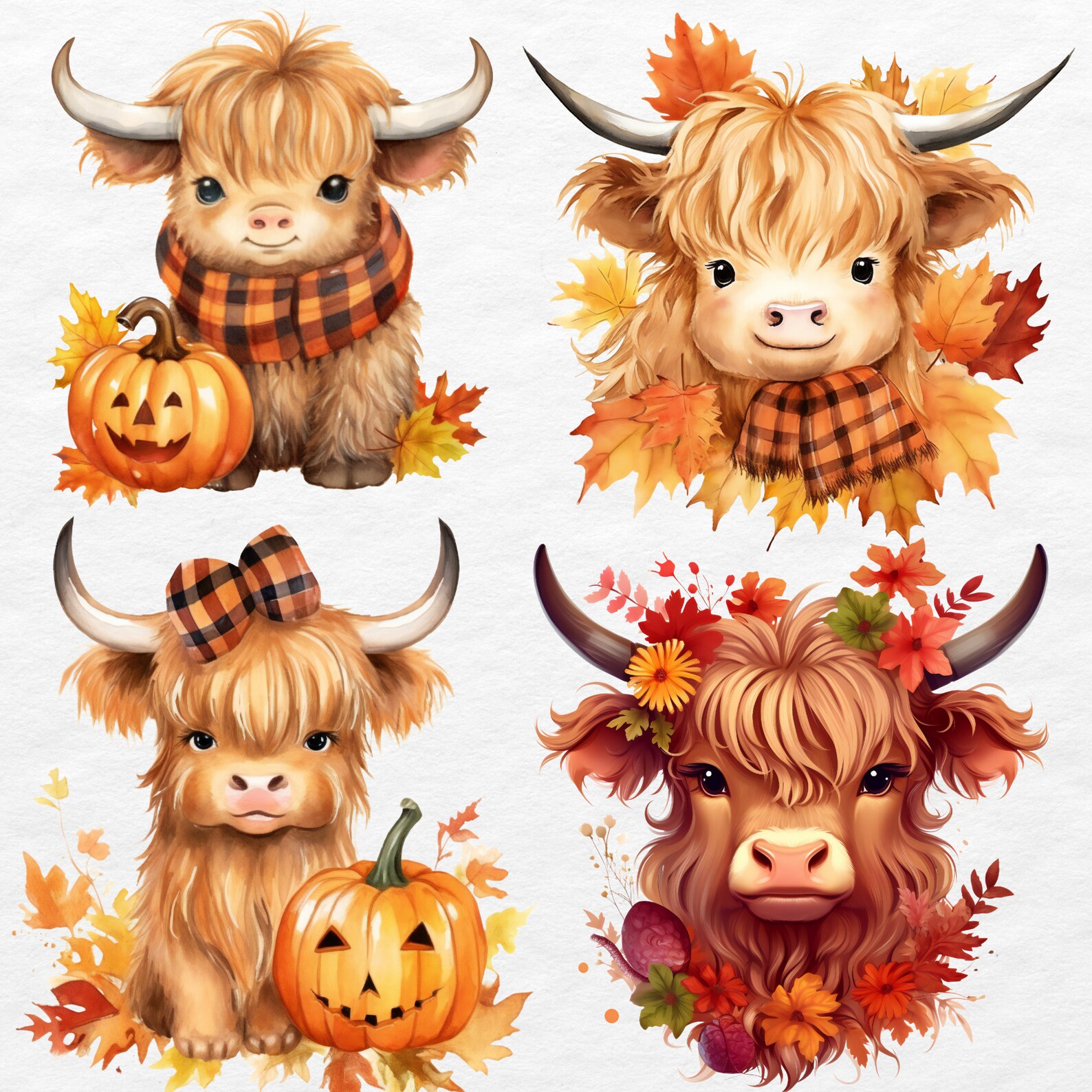 Fall Highland Cow Png Clipart Bundle Cute Baby Highland Cow - Etsy Canada