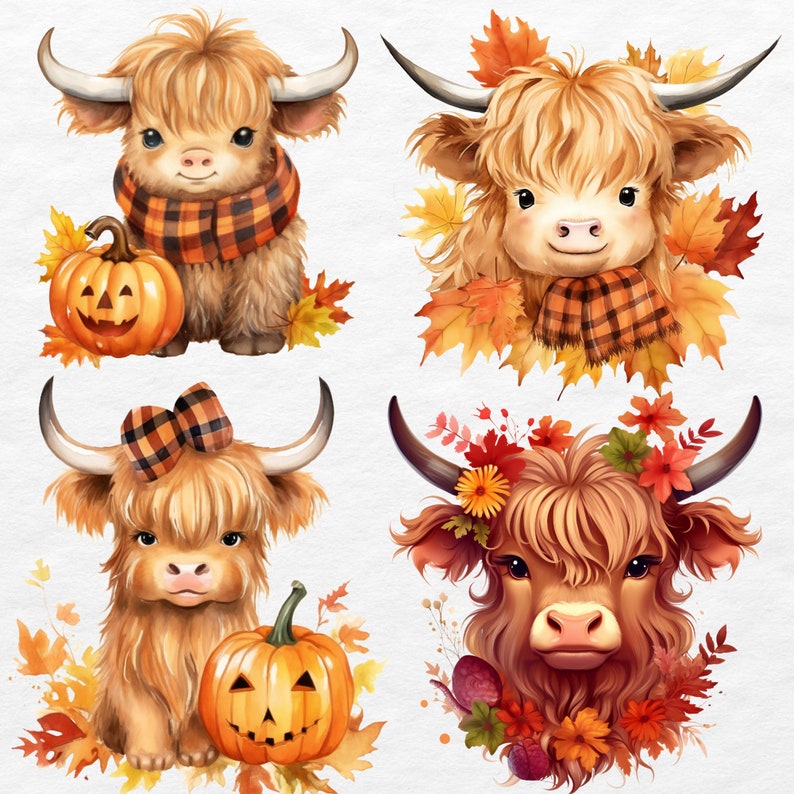 Fall Highland Cow Png Clipart Bundle Cute Baby Highland Cow - Etsy Canada