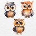 Owl Png Clipart Watercolor Bundle Digital Download Commercial Use, Cute ...