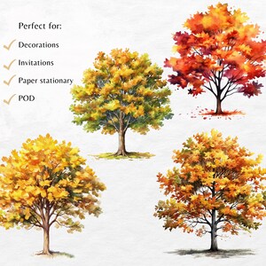 Fall Leaves & Trees Watercolor Clipart Bundle (PNG, Commercial Use) - Etsy