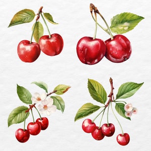 Cherry Clipart Watercolor Bundle Cherry Png Instant Download Images ...