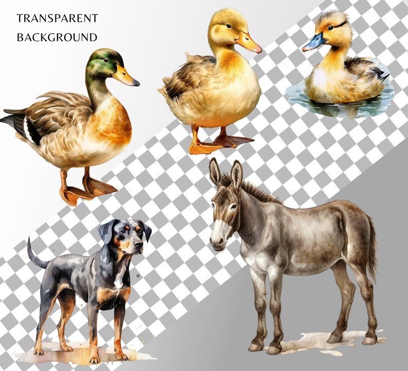 Farm Animals Watercolor Clip Art Bundle Cute Animals Clipart Png Farm ...