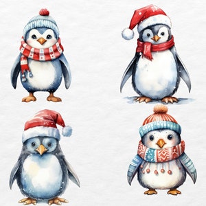 Christmas Penguins Watercolor Clipart | Holiday PNG Images - Etsy