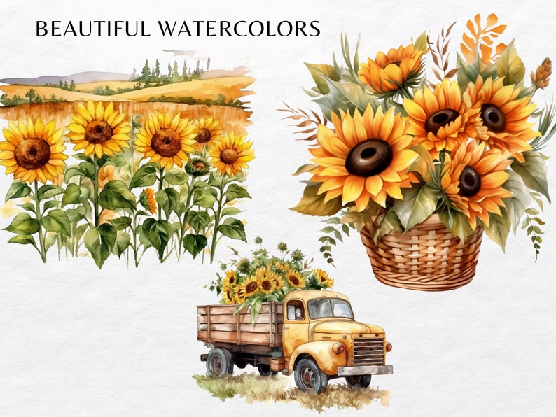 Sunflower Watercolor Clip Art Bundle PNG Floral Bouquets - Etsy