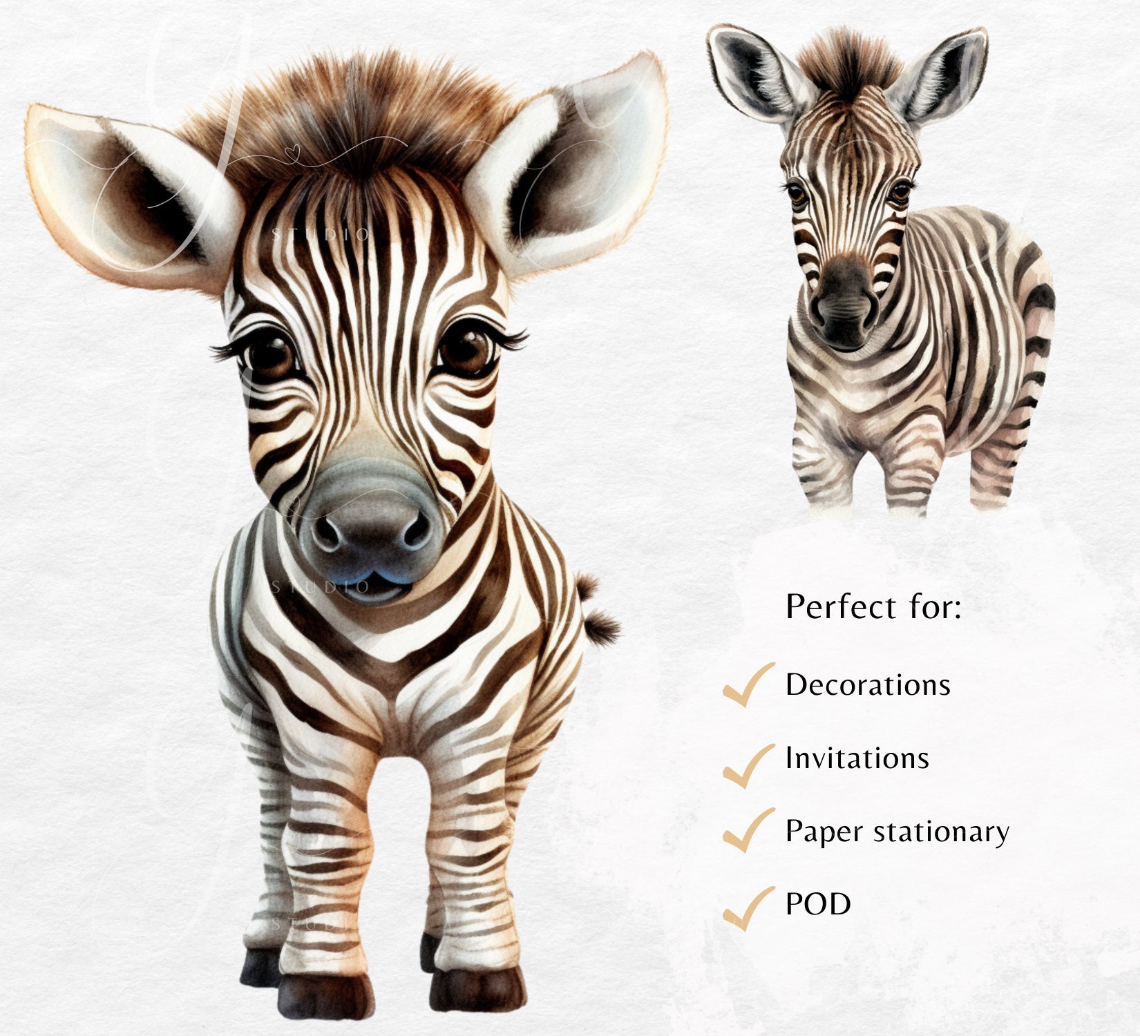Zebra Clipart Watercolor Clip Art Bundle Baby Zebra Clipart - Etsy