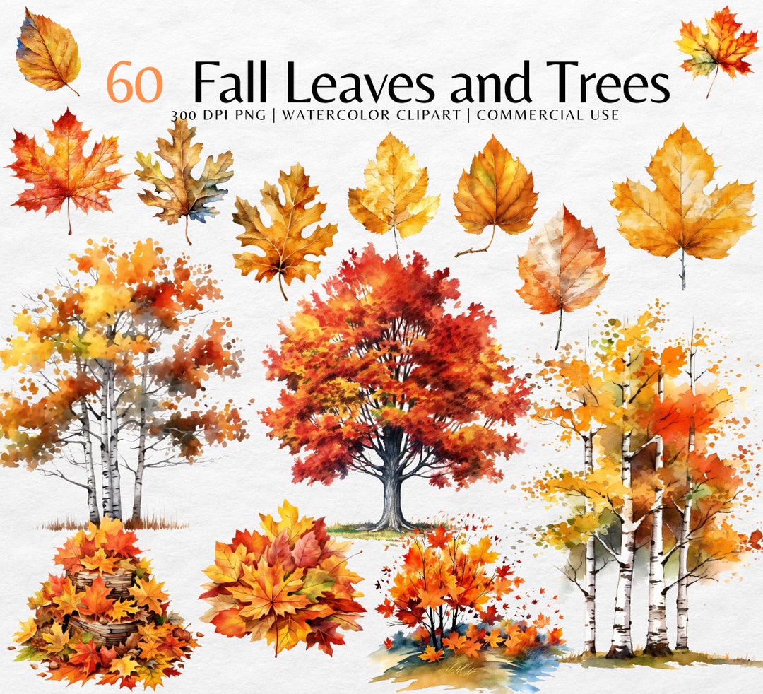 Fall Leaves & Trees Watercolor Clipart Bundle (PNG, Commercial Use) - Etsy