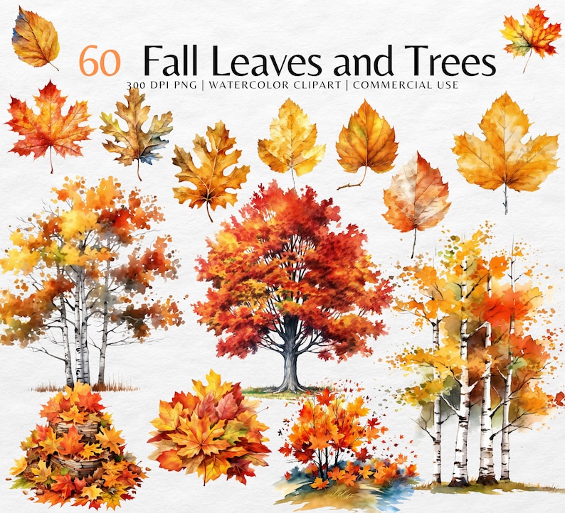 Fall Leaves and Trees Clipart fall Leaves Watercolor Png Fall Png, Pile ...