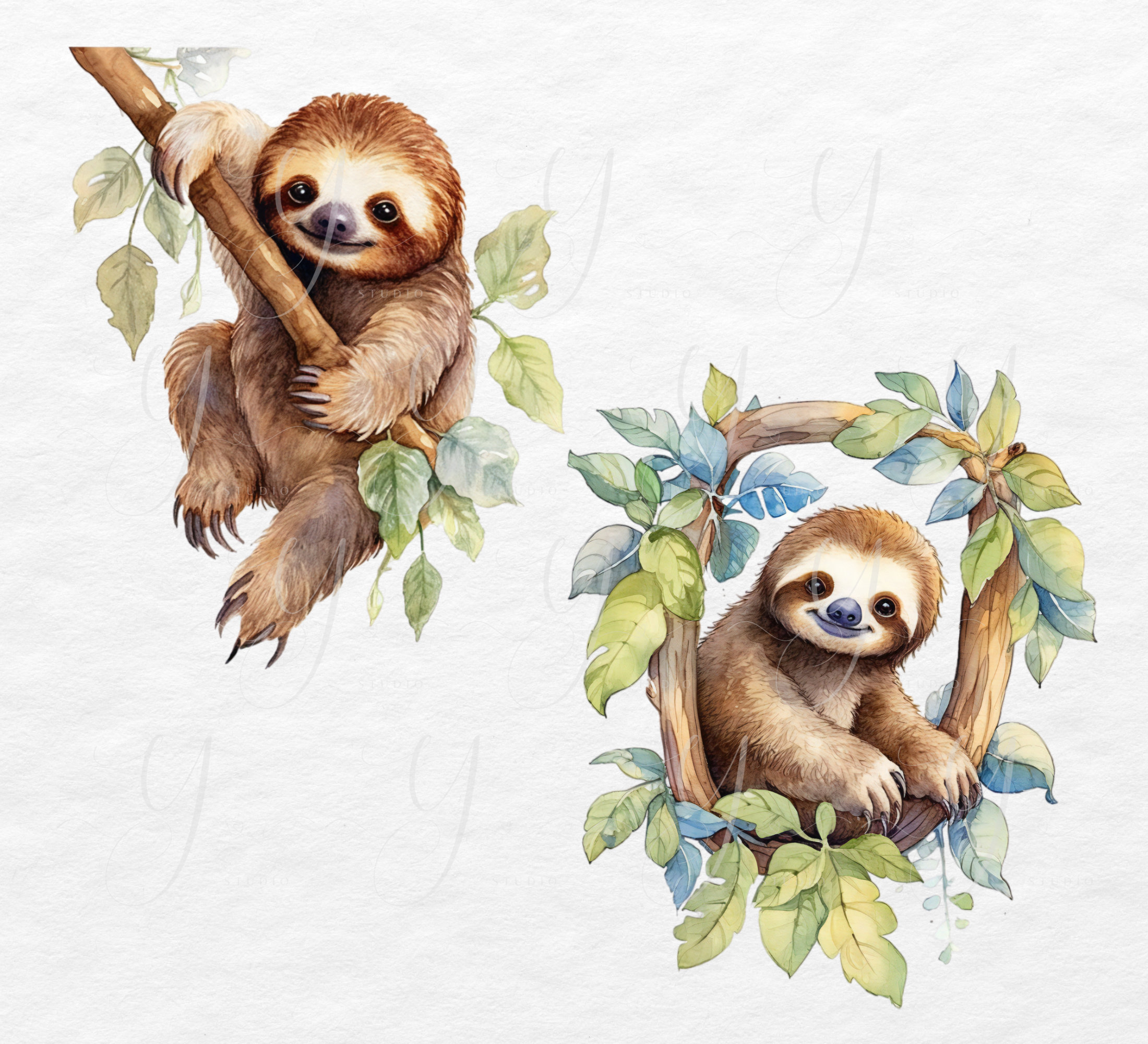 Watercolor Sloth Clipart Bundle With Flowers Png Digital - Etsy