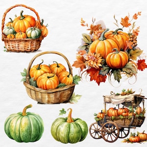 Watercolor Pumpkin Clipart: Fall Leaves PNG Bundle (digital Download ...