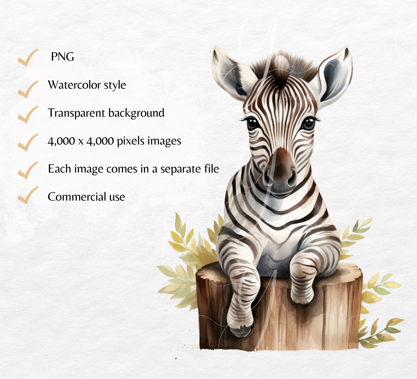 Zebra Clipart Watercolor Clip Art Bundle Baby Zebra Clipart - Etsy