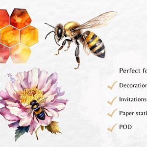 Bees Watercolor Clip Art Bundle | PNG Honey Bee on Sunflower, Honeycomb ...
