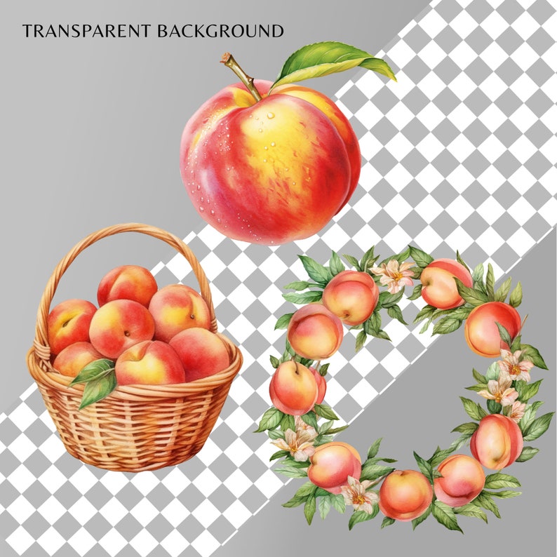Peach Watercolor Clipart Bundle: Fruit Tree, Wreath, PNG (commercial ...