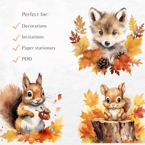 Fall Woodland Baby Animals Watercolor Clipart |fall Png | Nursery Decor ...