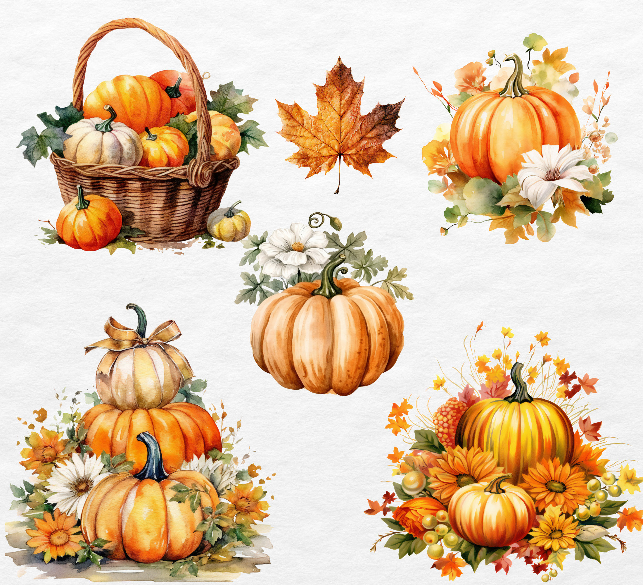 Watercolor Pumpkin Clipart: Fall Leaves PNG Bundle (digital Download ...