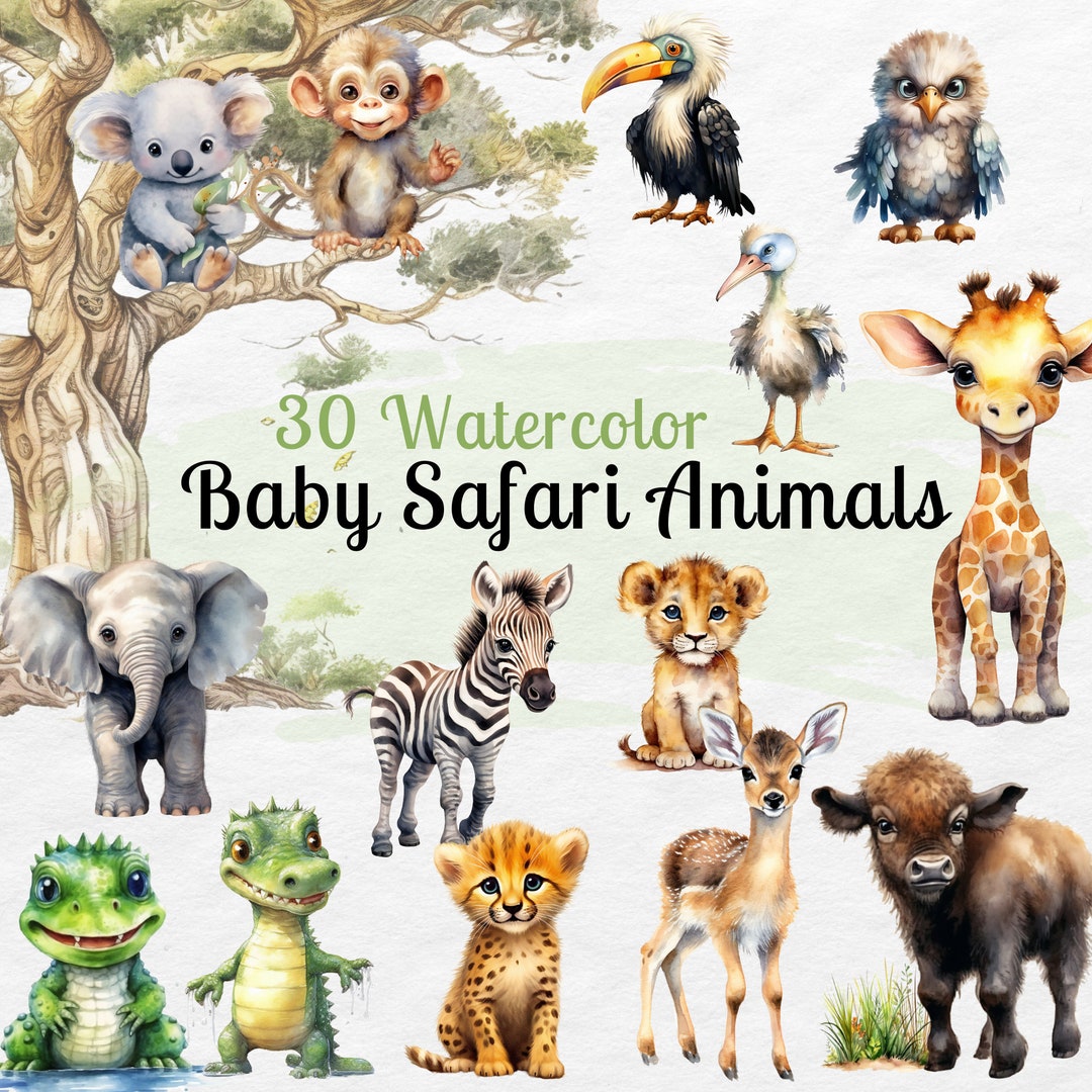Watercolor Baby Safari Animals Clipart: Nursery Decor (PNG Digital ...