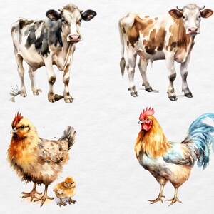 Watercolor Farm Animals Clipart Bundle: Barnyard PNG Images (commercial ...