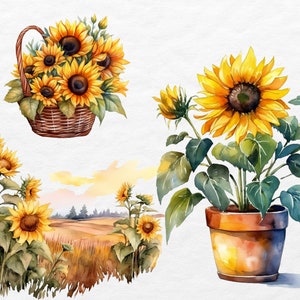 Sunflower Watercolor Clip Art Bundle | PNG Floral Bouquets | Bee ...