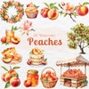Peach Watercolor Clipart Bundle | Fruit Clipart | Peach Wreath Clipart ...