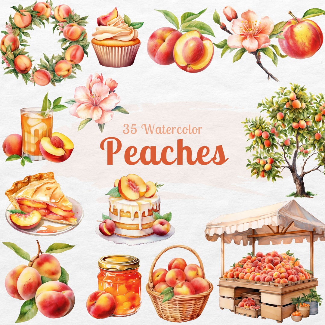 Peach Watercolor Clipart Bundle: Fruit Tree, Wreath, PNG (commercial ...