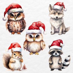 Christmas Woodland Baby Animals Watercolor Clipart | Cute Christmas Png ...