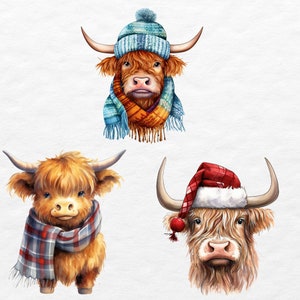 Christmas Highland Cow Png Clipart Bundle, Cute Baby Highland Cow ...
