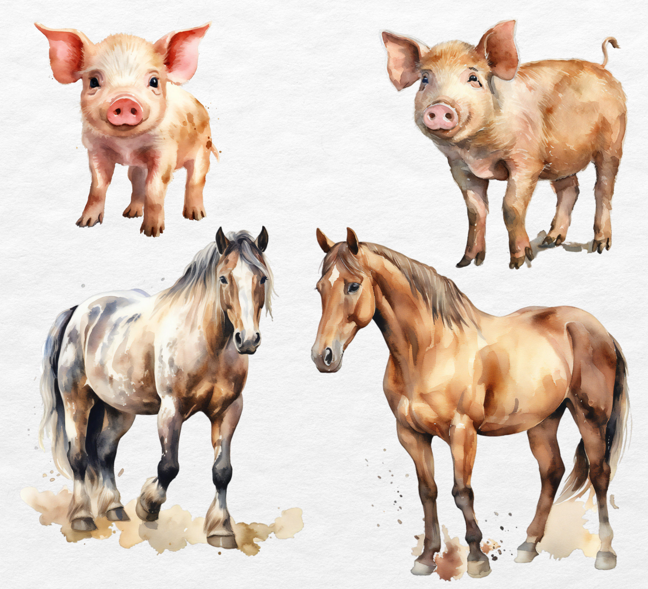 Watercolor Farm Animals Clipart Bundle: Barnyard PNG Images (commercial ...