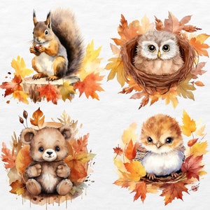 Fall Woodland Baby Animals Watercolor Clipart |fall Png | Nursery Decor ...