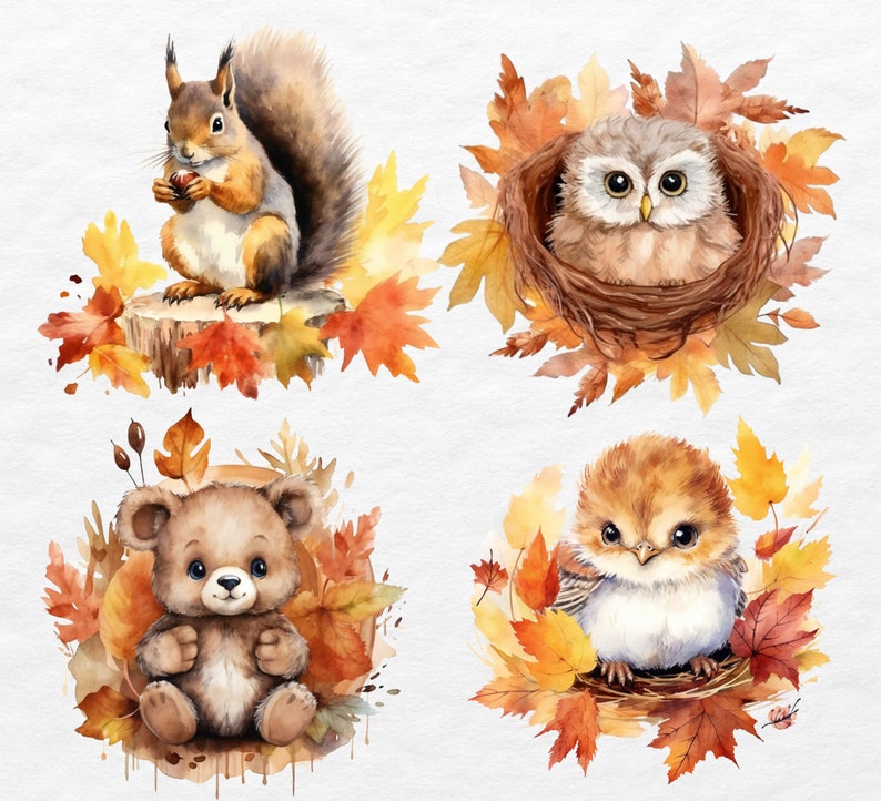 Fall Woodland Baby Animals Watercolor Clipart |fall Png | Nursery Decor ...