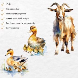 Farm Animals Watercolor Clip Art Bundle | Cute Animals Clipart Png ...