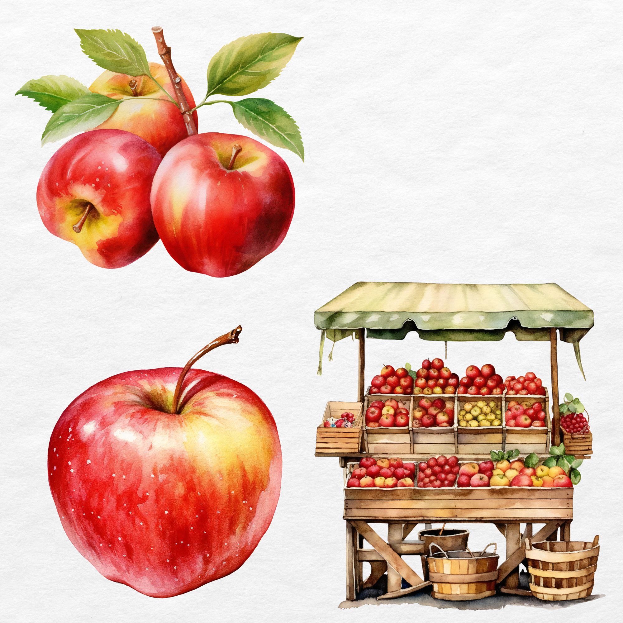 Apple Watercolor Clipart Bundle: 26 PNG Images (commercial Use) - Etsy