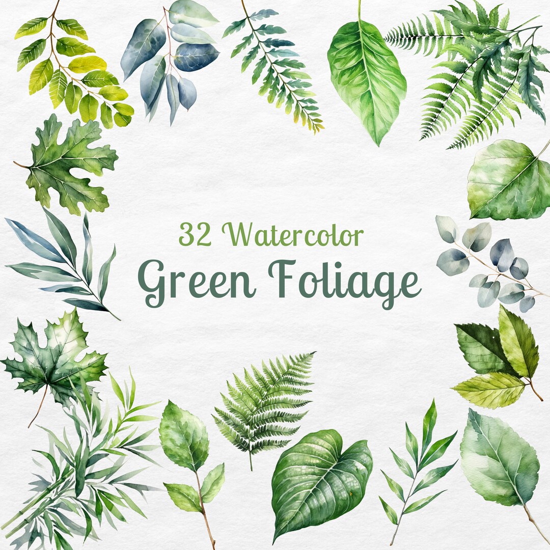 Foliage Clipart Watercolor | Green Leaf Watercolor Png | Spring Png ...