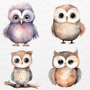 Owl Png Clipart Watercolor Bundle | Digital Download | Commercial Use ...