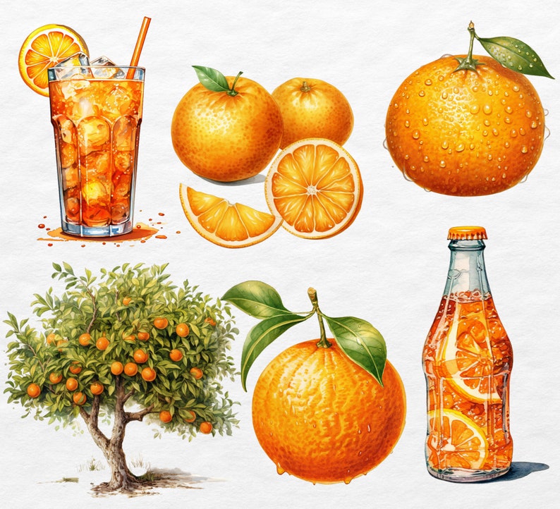 Watercolor Orange Clipart Bundle: Citrus Flowers (instant Download) - Etsy