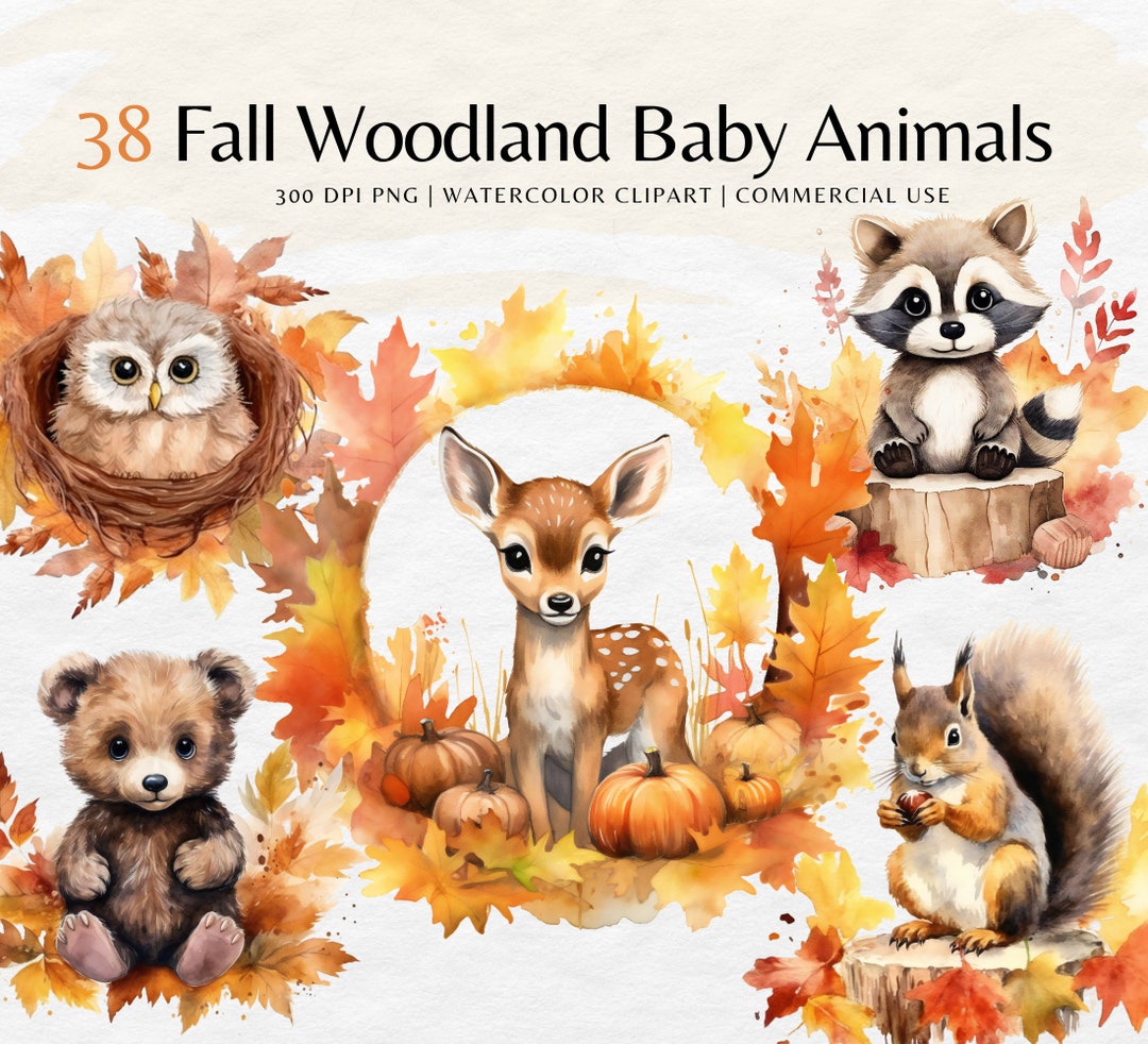 Fall Woodland Baby Animals Watercolor Clipart |fall Png | Nursery Decor ...