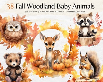 Watercolor Fall Clipart Fall Forest Baby Animals Clipart Autumn Clipart ...
