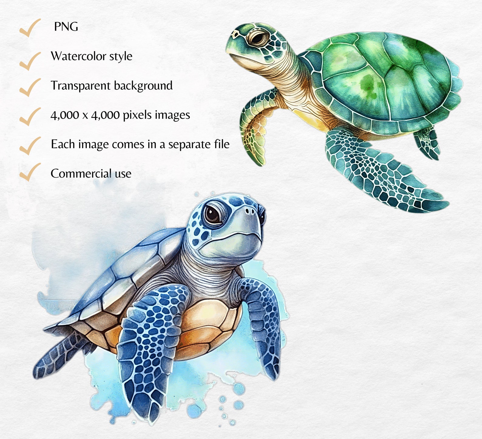 Sea Turtles Watercolor Clip Art Bundle Sea Animals Clipart Png Sea Life ...