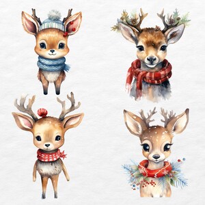 Christmas Woodland Baby Animals Watercolor Clipart | Cute Christmas Png ...