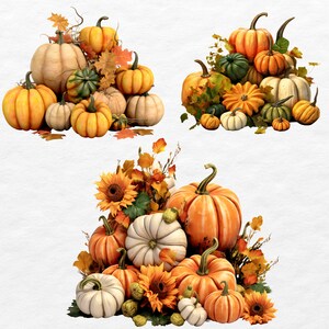 3d Pumpkin Fall Clipart | Halloween Pumpkin Watercolor Png | Fall Png ...