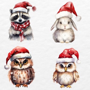 Christmas Woodland Baby Animals Watercolor Clipart | Cute Christmas Png ...