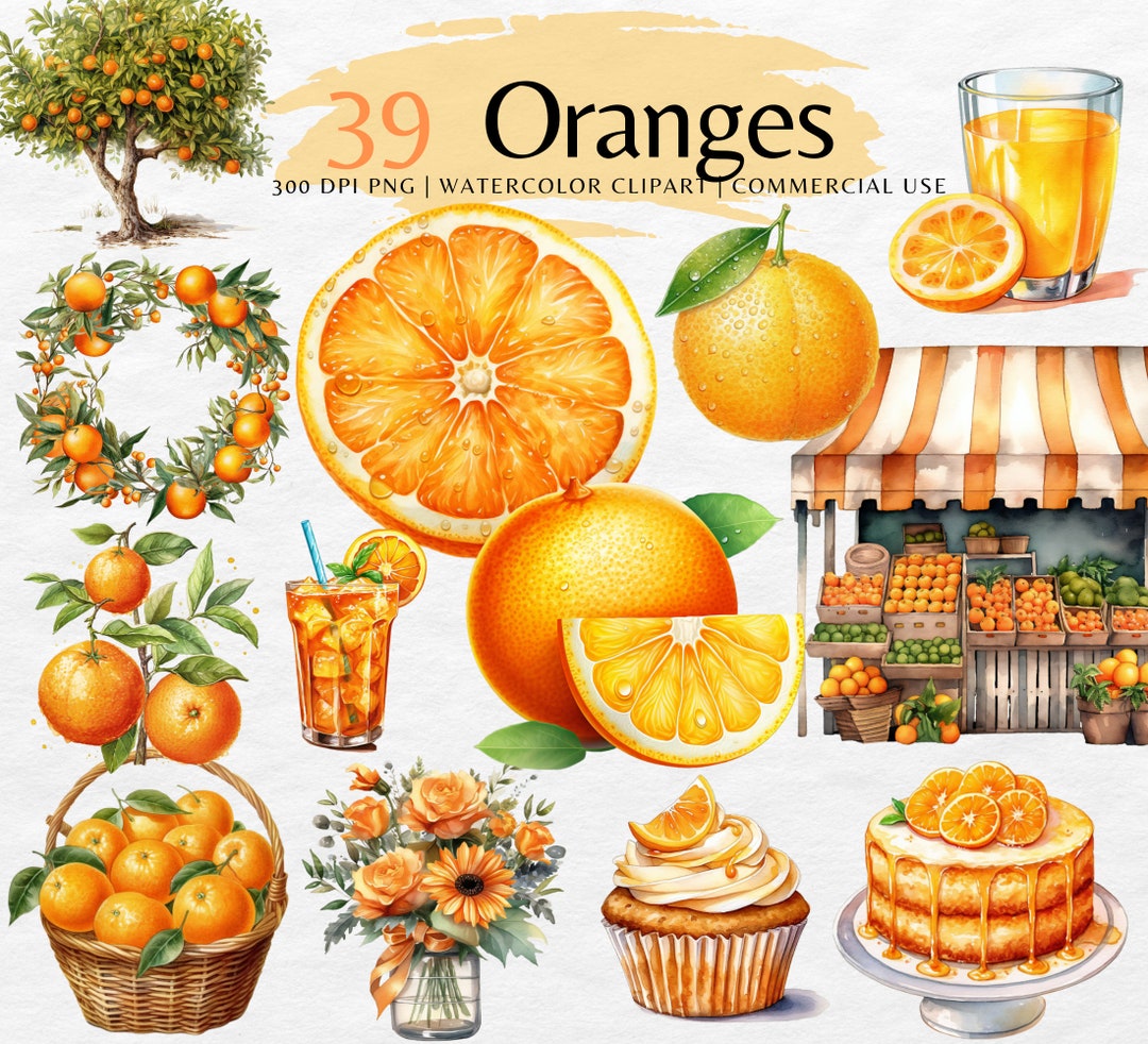 Watercolor Orange Clipart Bundle: Citrus Flowers (instant Download) - Etsy