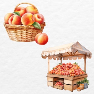 Peach Watercolor Clipart Bundle: Fruit Tree, Wreath, PNG (commercial ...