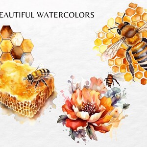 Bees Watercolor Clip Art Bundle | PNG Honey Bee on Sunflower, Honeycomb ...