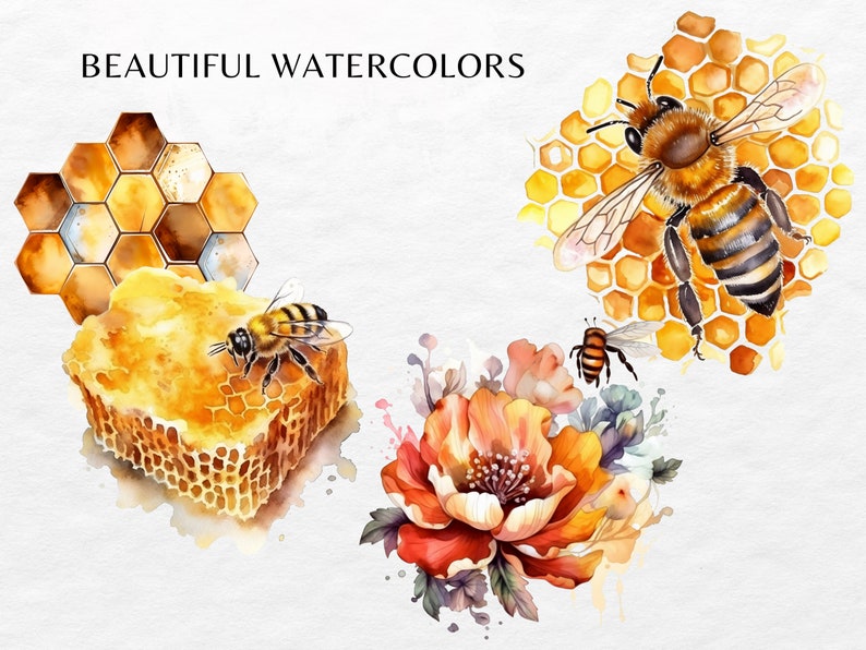 Bees Watercolor Clip Art Bundle PNG Honey Bee on Sunflower - Etsy