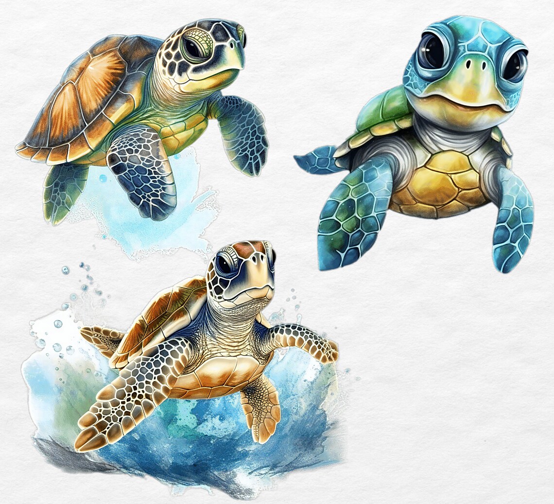 Sea Turtles Watercolor Clip Art Bundle Sea Animals Clipart - Etsy